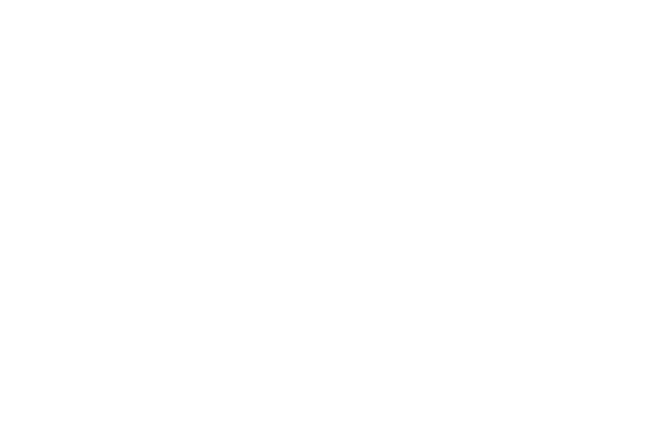 Home - Widmann
